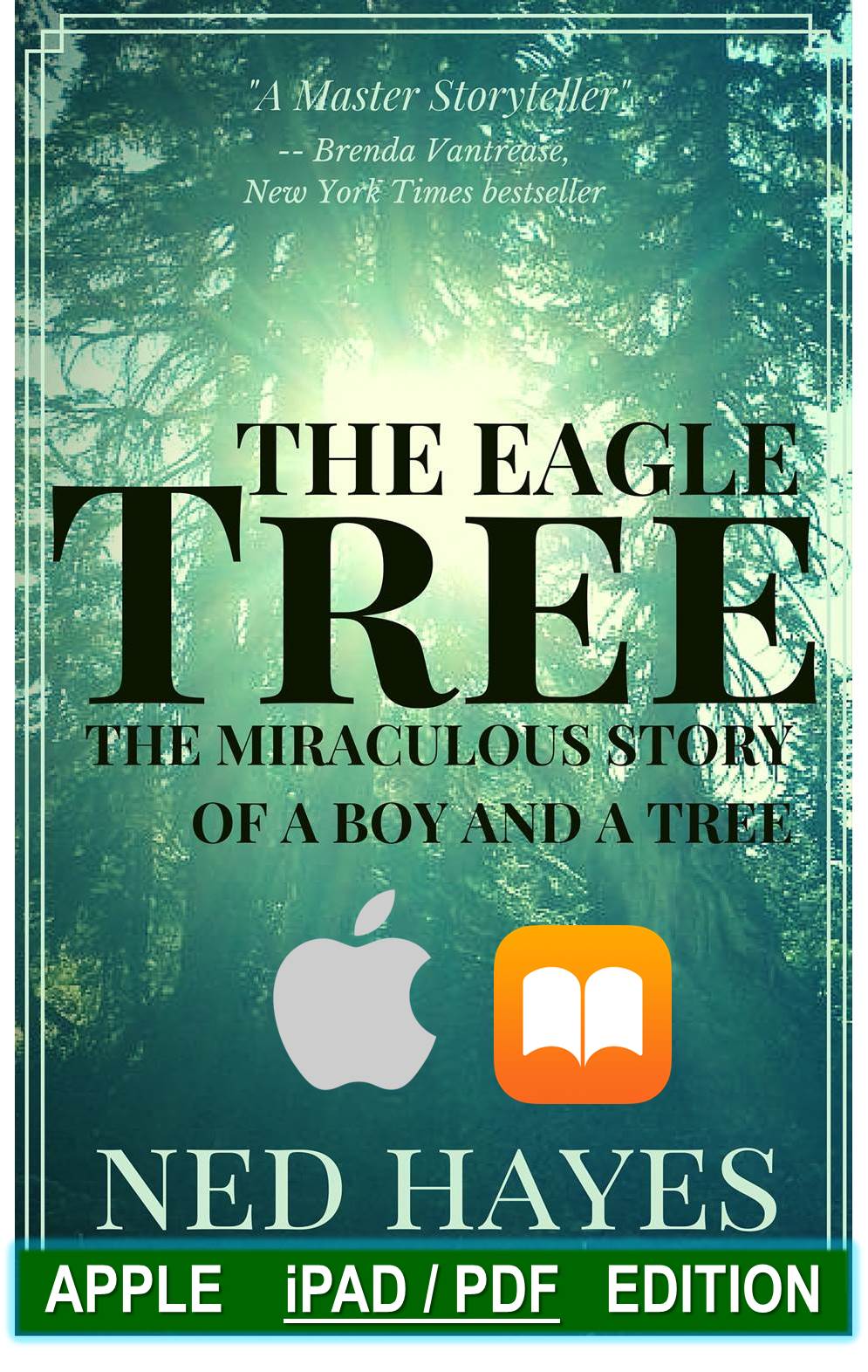 How to get Books onto your e-reader | Ned Hayes