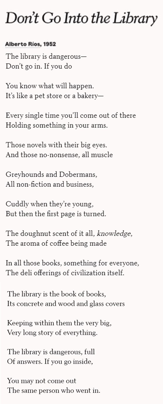 Poem: Don’t Go Into the Library | Ned Hayes