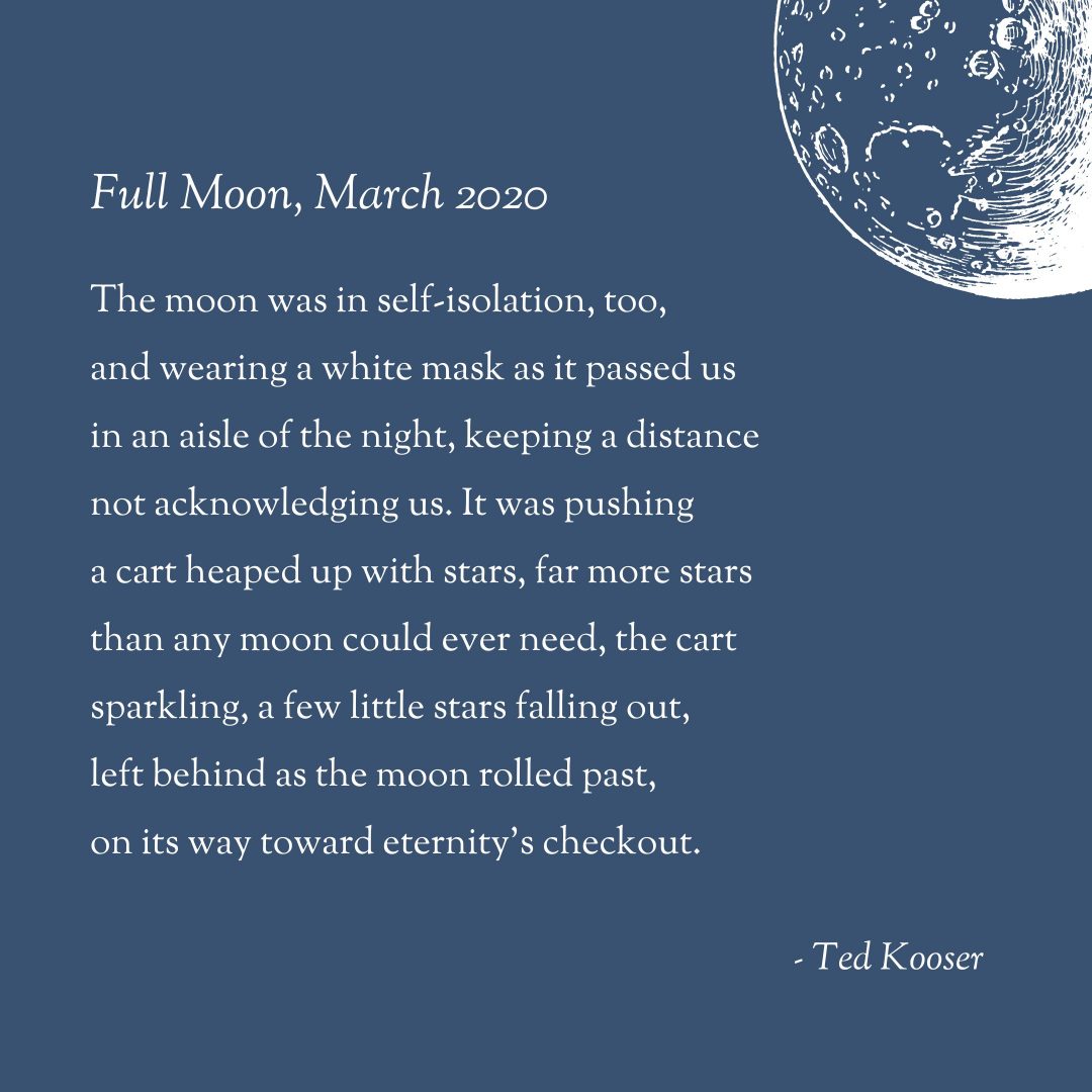 Poem: Full Moon, March 2020 | Ned Hayes