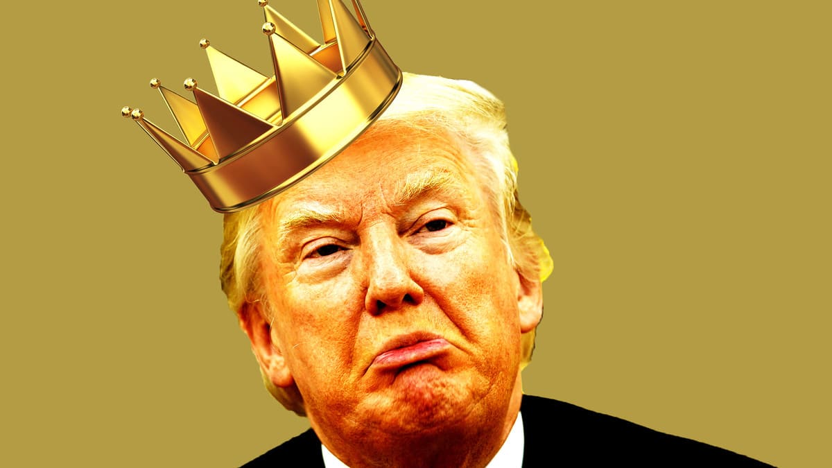 KING DONALD: a comedy? | Ned Hayes